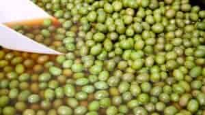 Too Salty Olives? Learn How To Desalt Olives at Home