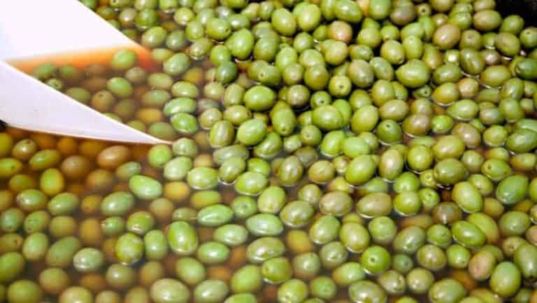 Too Salty Olives? Learn How To Desalt Olives at Home