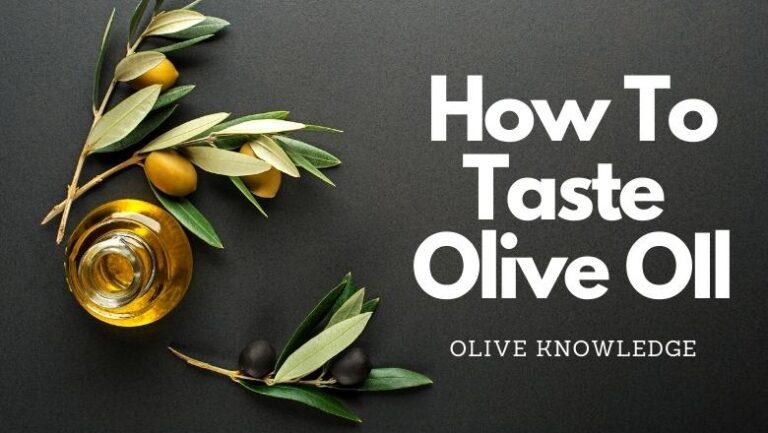 How To Taste Olive Oil: Easy Guide For Beginners