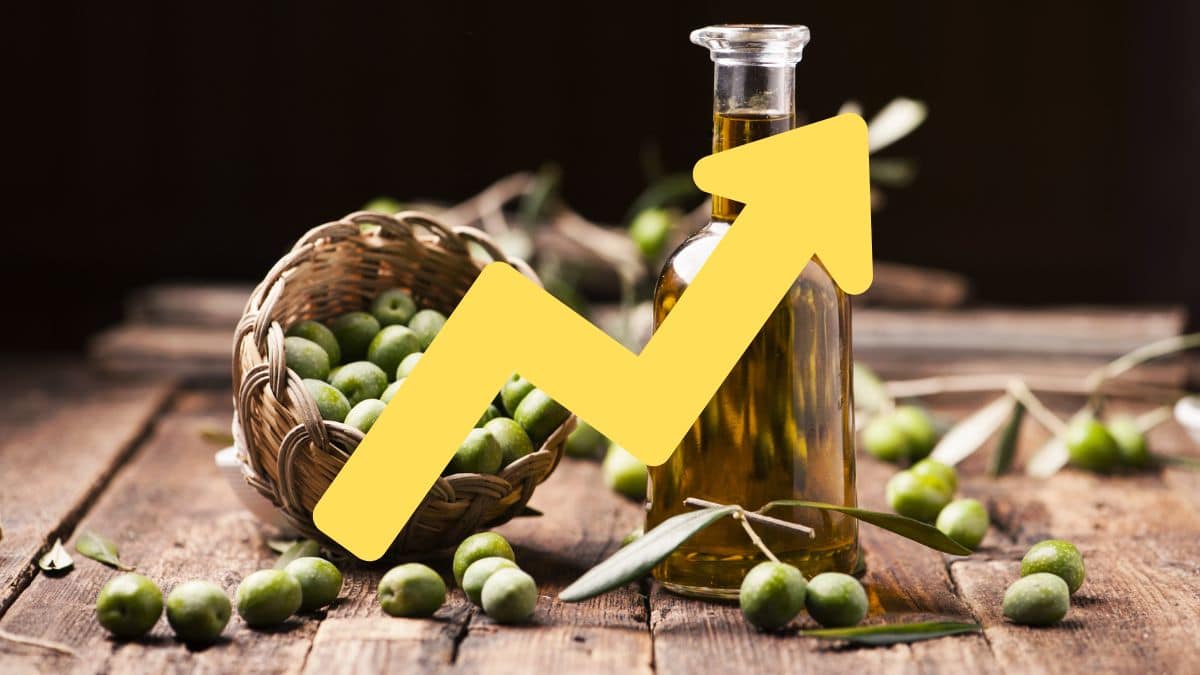 U.S. Olive Oil Market to Hit $2.9B — Here’s Why
